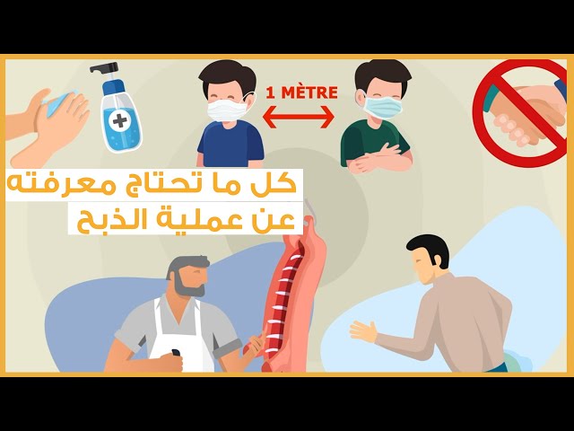 ONSSA - L'Office National de Sécurité Sanitaire des produits Alimentaires