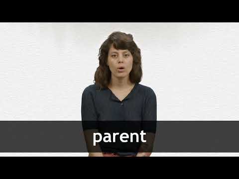 English Translation of “PARENT” | Collins French-English Dictionary