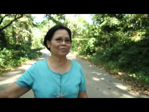 Thai PBS discovers Phana | Thai Monkey Forest