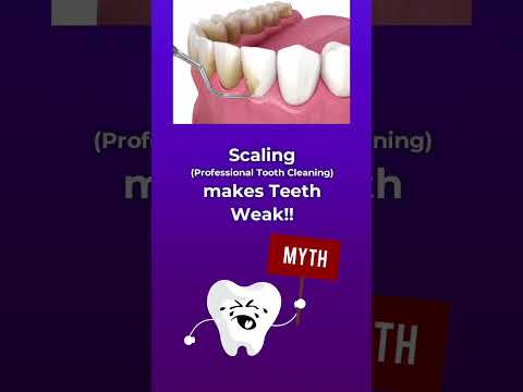 MYTHS & FACTS about Teeth Scaling | Dental Care | Molar Bear Dental Studio