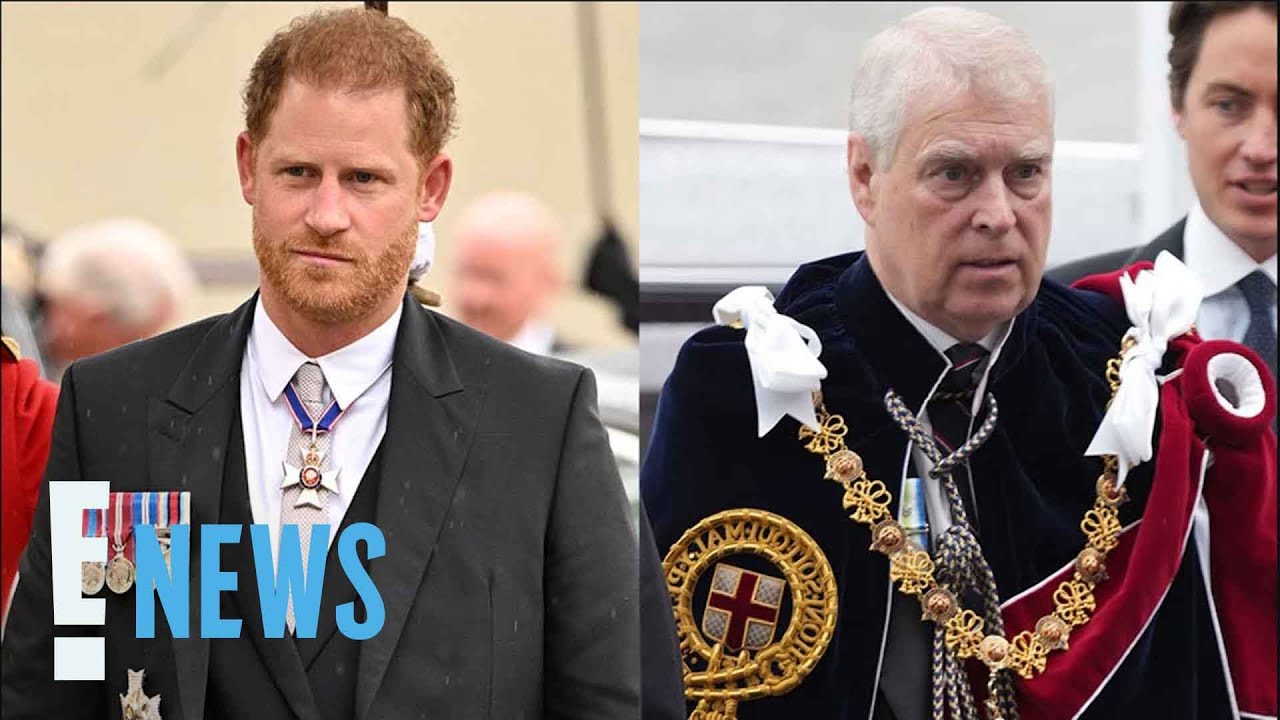 Prince Harry Denies Punching Prince Andrew Over Meghan Markle Comments | E! News