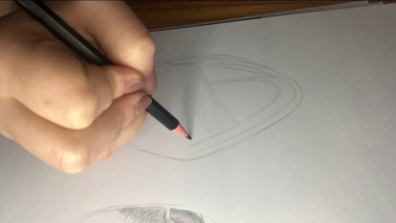 How to draw Translucent insect wings