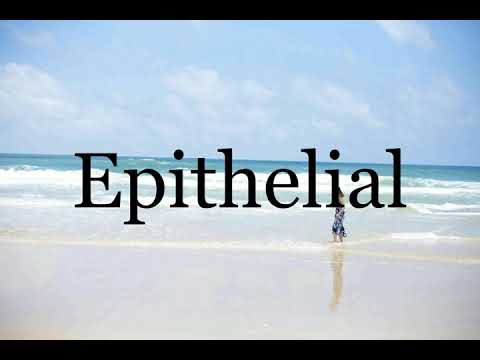 How To Pronounce Epithelial🌈🌈🌈🌈🌈🌈Pronunciation Of Epithelial