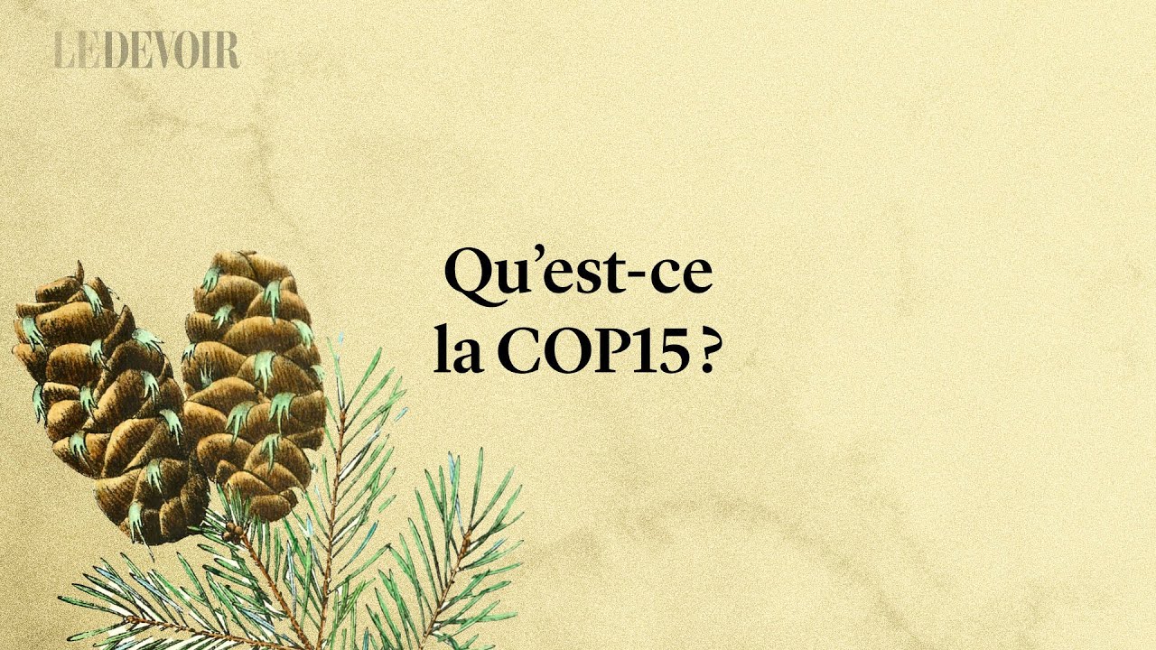 Comprendre la COP15 en cinq points | Le Devoir