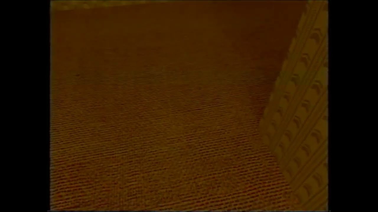 BackRooms - the Entity (Found Footage) (High Volume Warning)