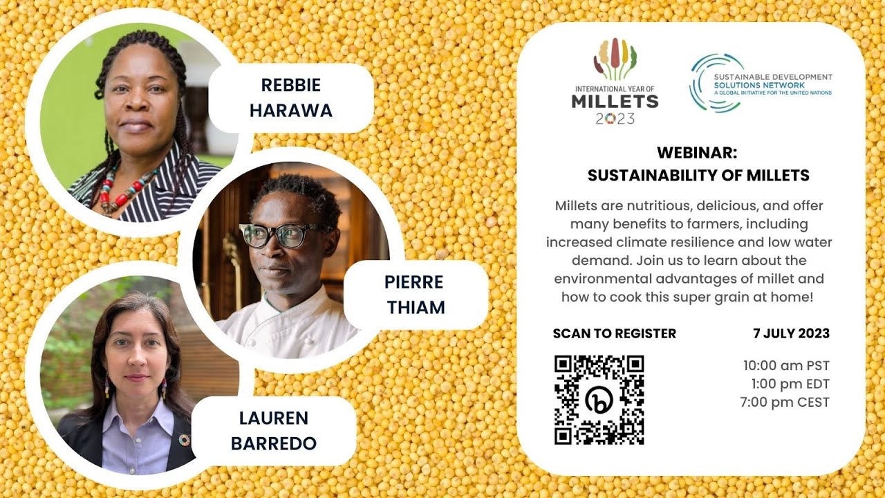 Sustainability of Millets