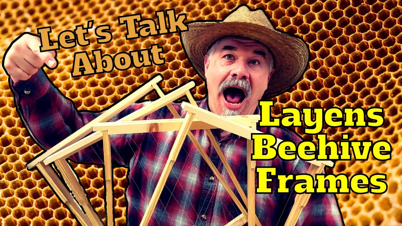 Some New Options for Layens Beehive Frames