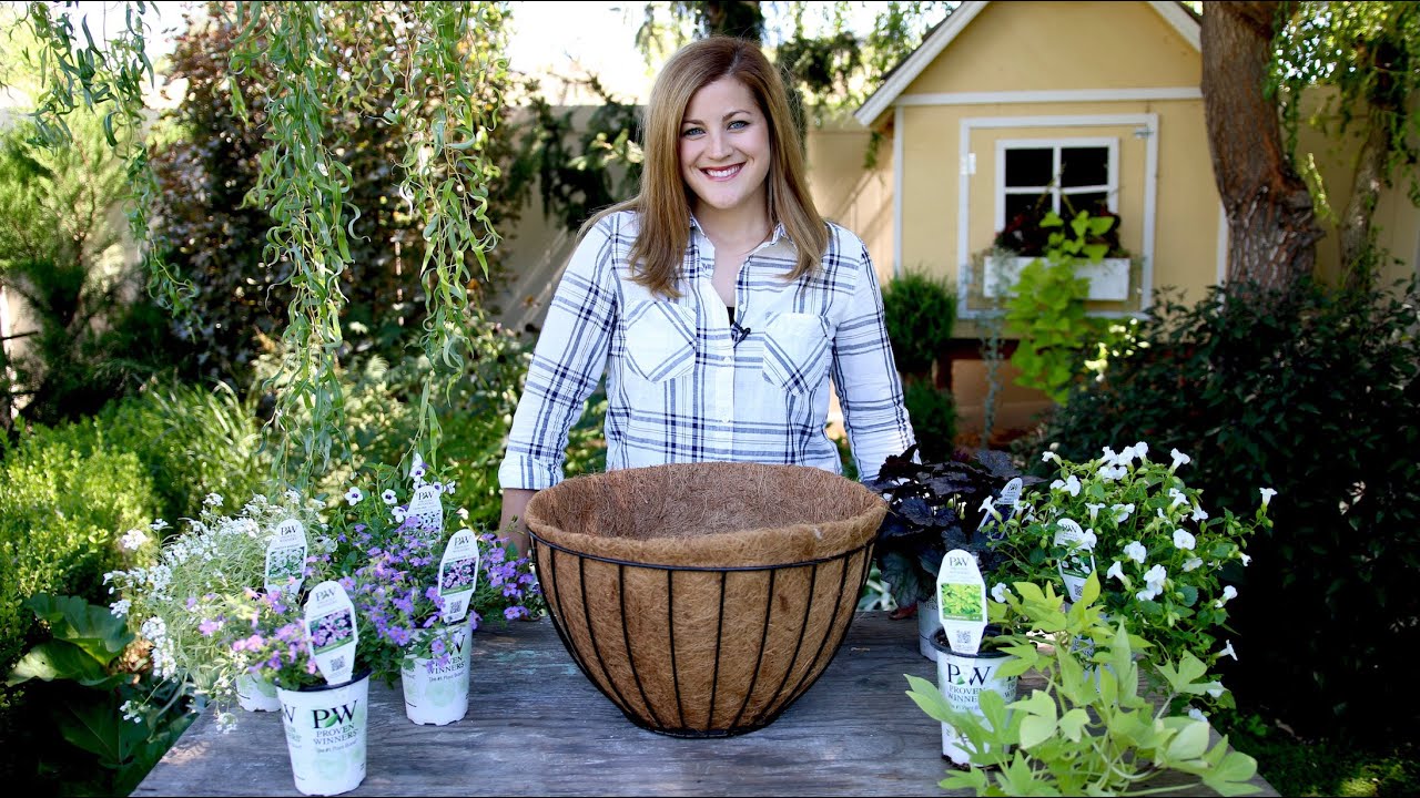How Many Plants for a Hanging Basket?
