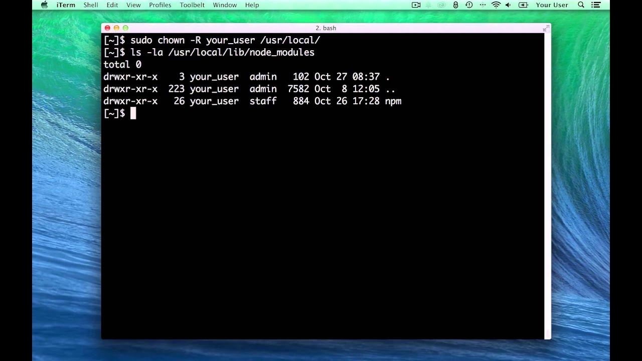 Fixing npm permissions