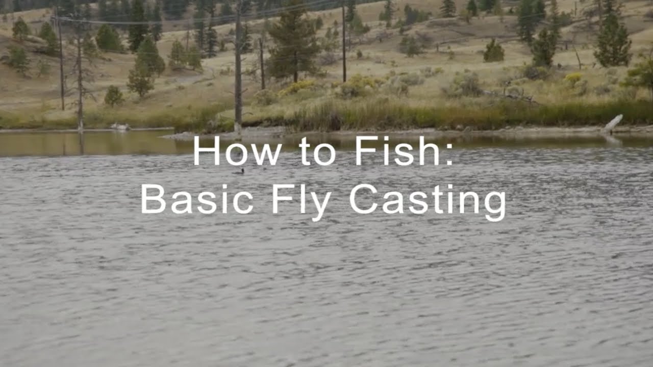 How to Fish: Basic Fly Casting | GoFishBC