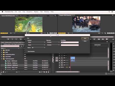 Finding Assets in the Project Panel in Premiere Pro CC