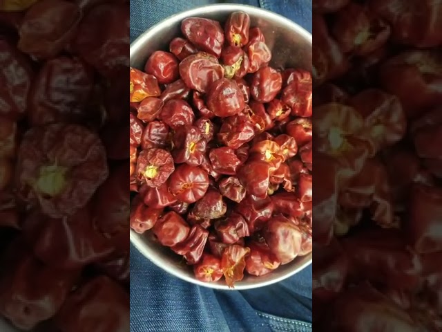Dry Chilli Indam 5 - Bor Mirchi Manufacturer from Pune