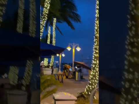 West palm beach Florida marina restaurant beautiful view