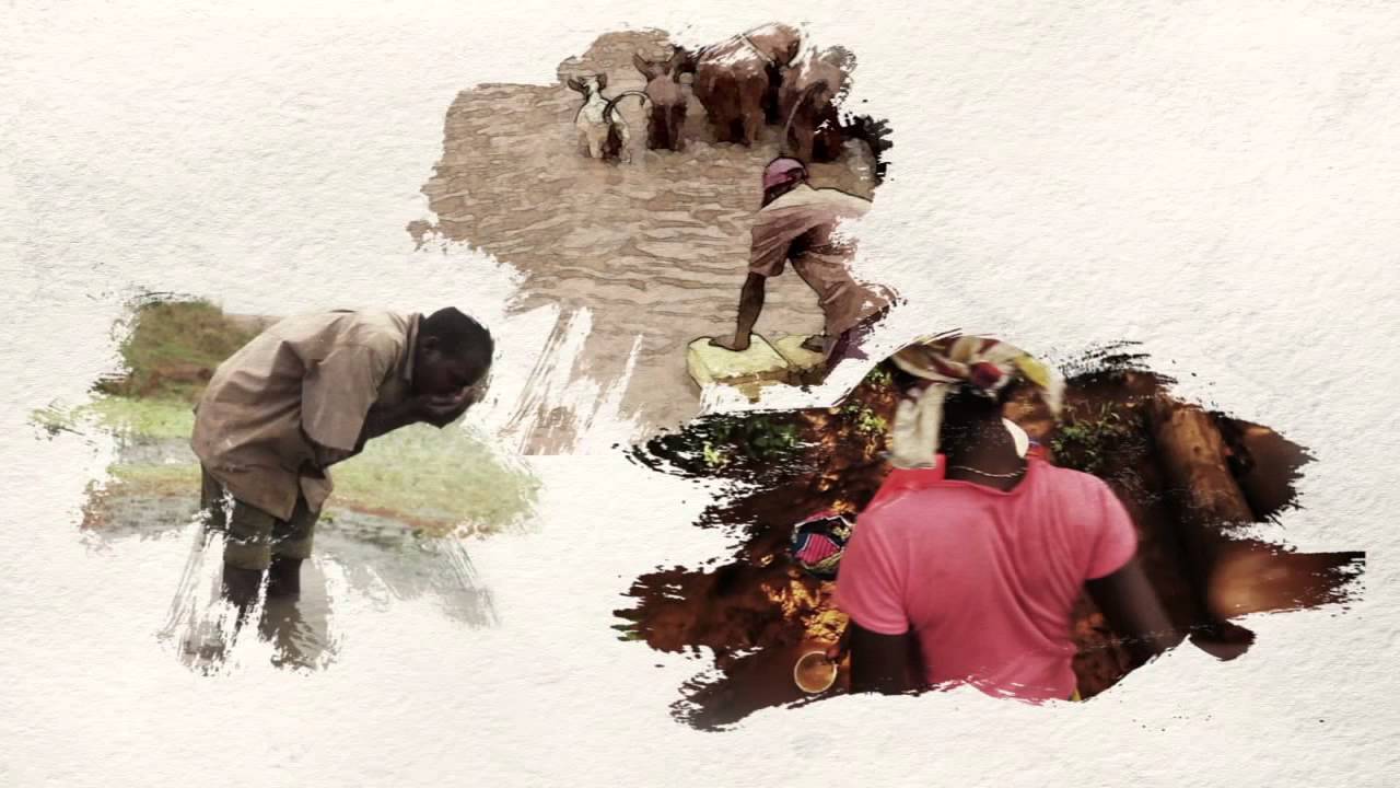 The Water Project - What We Do