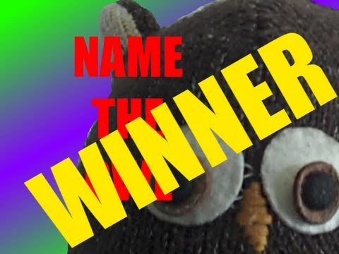 THE OWL'S NAME IS...