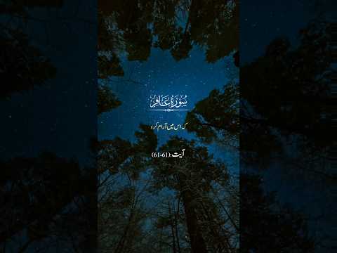 Beautiful Verses of Quran..Surah Ghafir..#deeplines #quranqoutes #foryou #whatsappstatus #fypシ゚viral