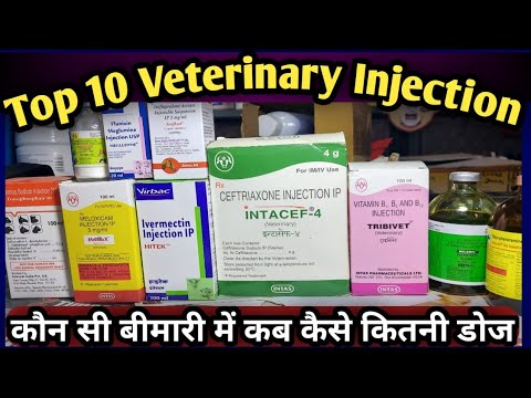 Veterinary Injections - Vet Injections Latest Price, Manufacturers ...