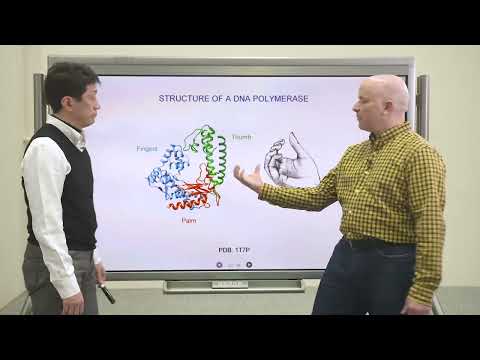 The Chemistry of Life｜Kyoto University OpenCourseWare