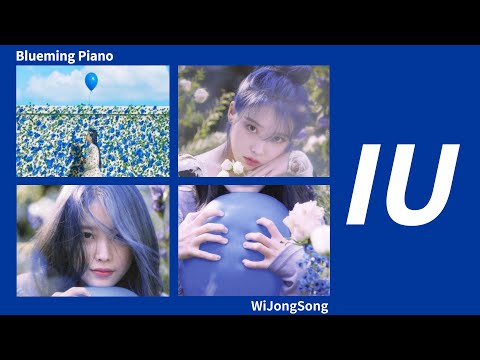 커뮤니티 > IU(아이유) - Blueming 피아노