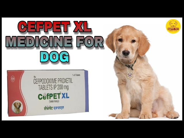 Veterinary Medicines injections tablets - ANTIOXIDANT IMMUNCARE DROP ...