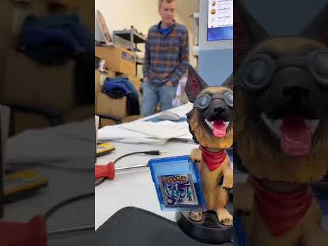 Sam Pranks Joey With a New Mouse!