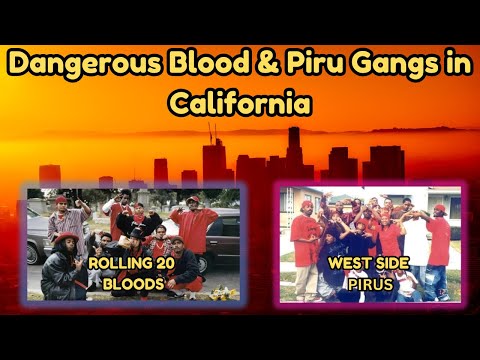 The Most Dangerous Blood & Piru Gangs in California