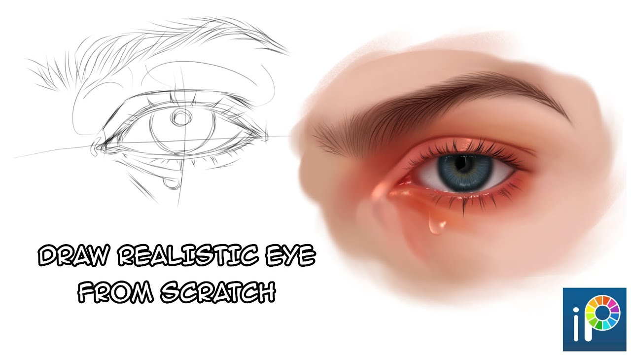 EYE STUDY ART PROCESS || IbisPaint X