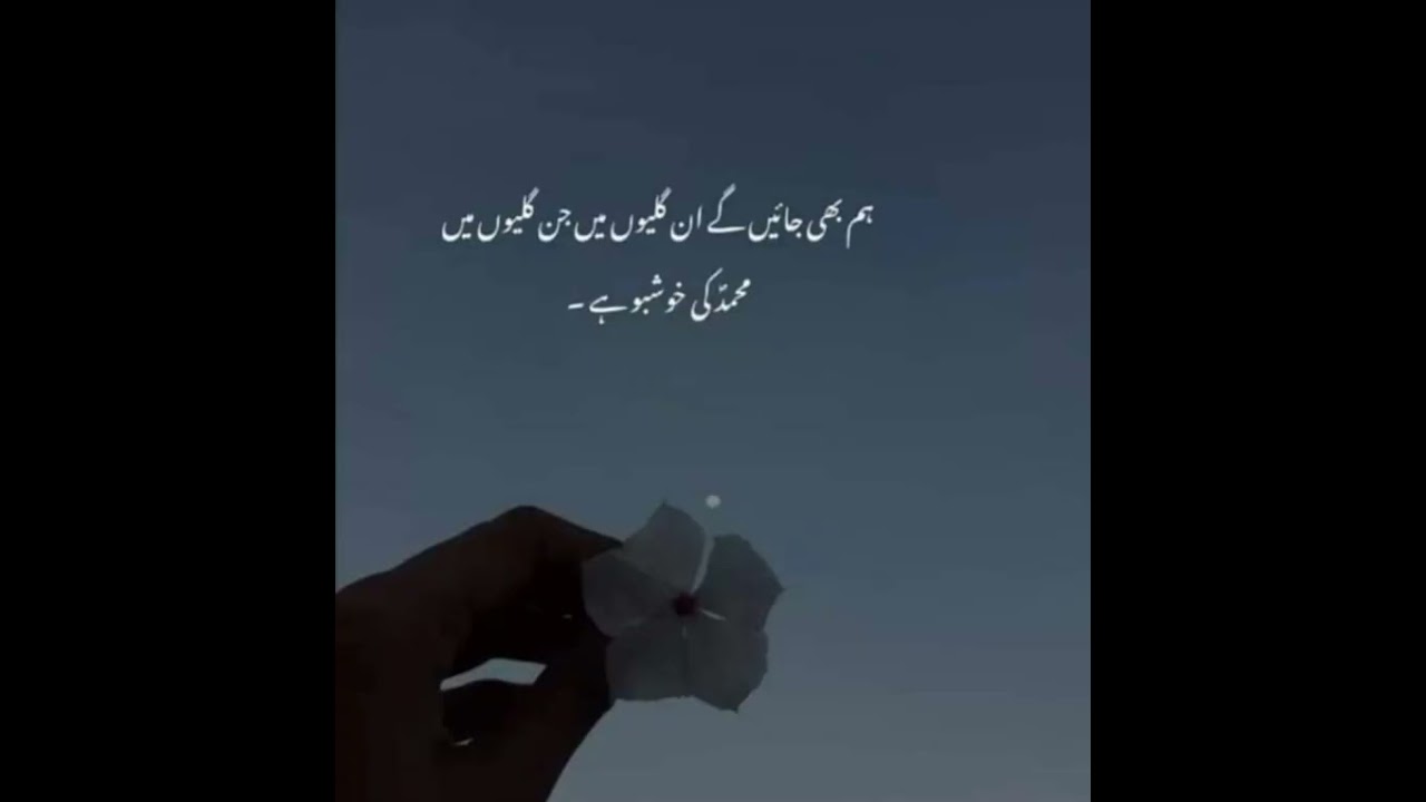 #whatsapp status #dpz #Heart touching lines #urdu quotes  #Sad poetry #2 line urdu poetrt
