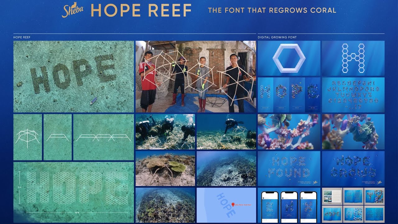 Sheba - Hope Reef (Case Study) | Brade Mar
