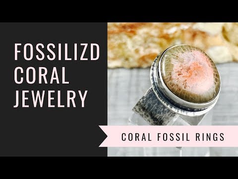The Ultimate Overview Of Fossil Bands, Definition and also Sizes and ...
