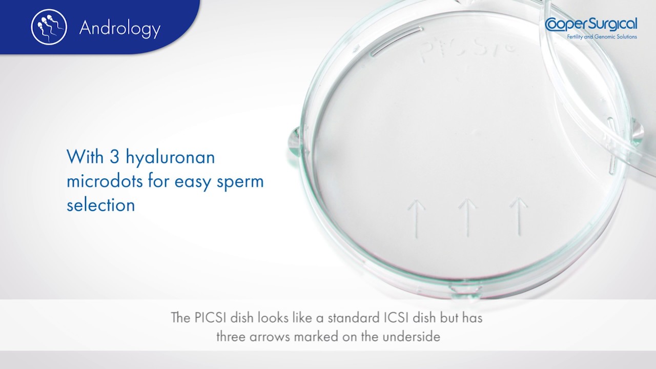 Introduction to PICSI® dish with Hyaluronan for easy sperm selection