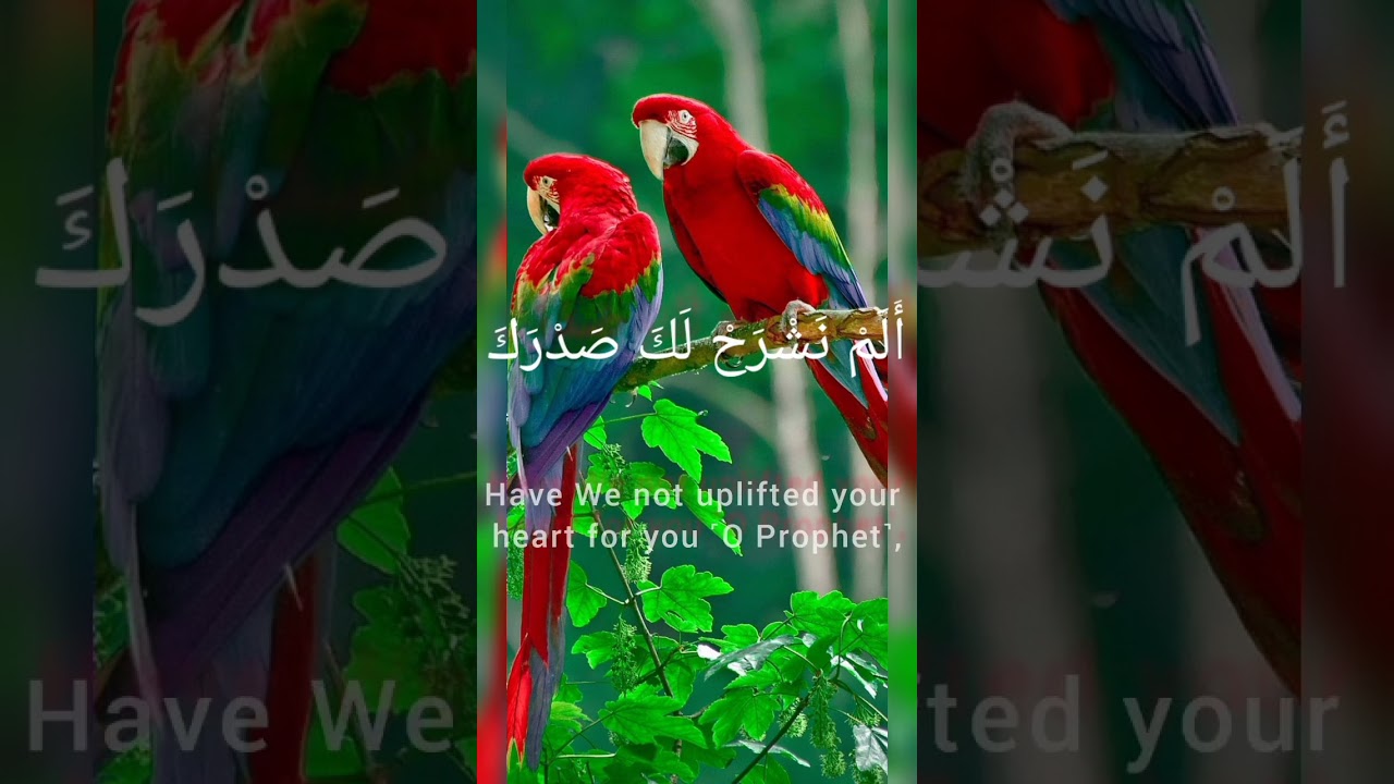 Beautiful surah Al inshirah