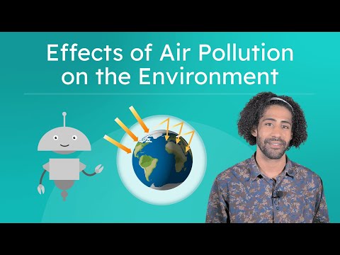 Effects of Air Pollution on the Environment - Causes and Impact of Pollution
