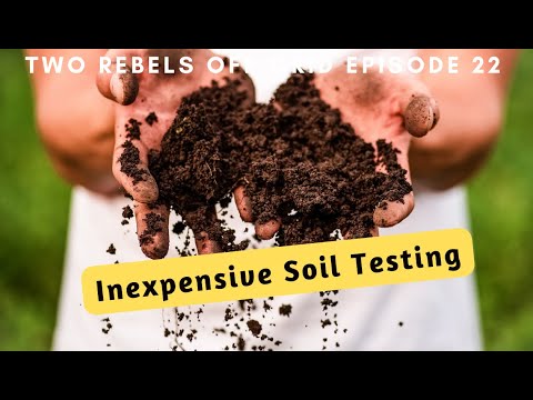 How To Do An Inexpensive Home Soil Test
