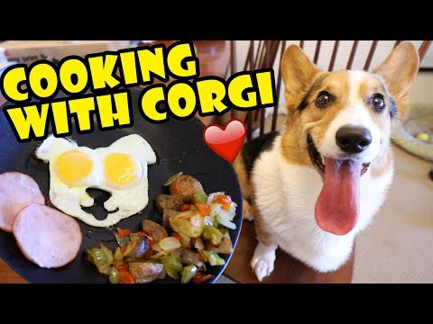 COOKING with CORGI DOG -- Tasty Fall Recipes || Life After College: Ep. 617