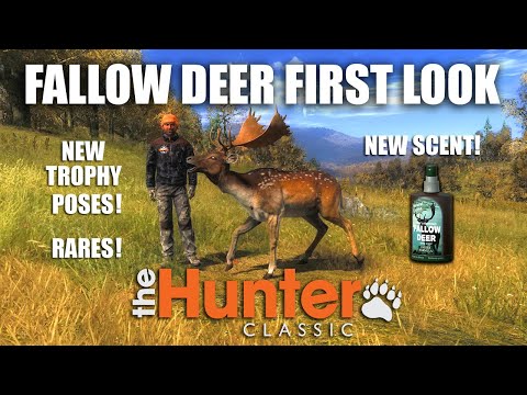 Steam Community :: Video :: Fallow Deer First Look - theHunter Classic