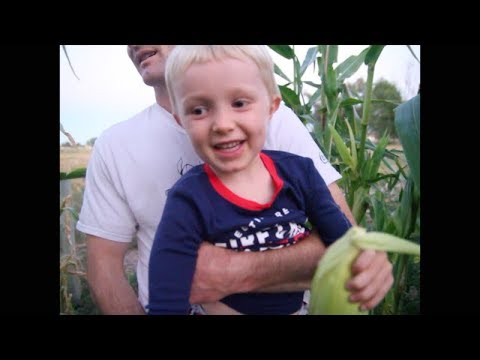 Elote means corn! Learning Spanish Daily