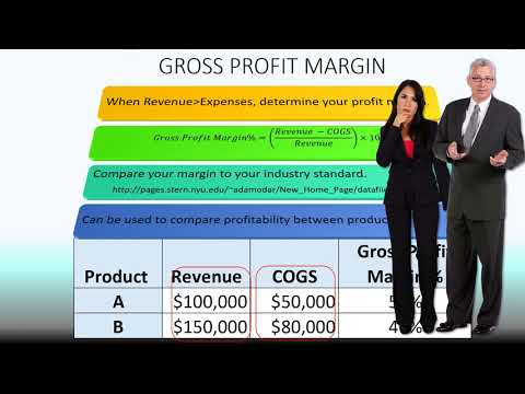 Gross Profit and Net Profit Margin