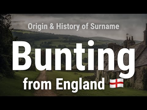 Bunting from England 🏴 - Meaning, Origin, History & Migration Routes of Surname