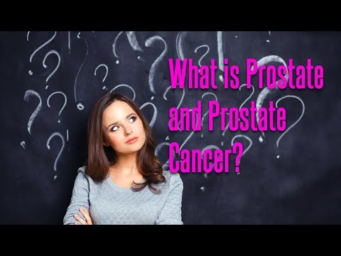 What is Prostate and Prostate Cancer? - Dr Michael A. Jenkins