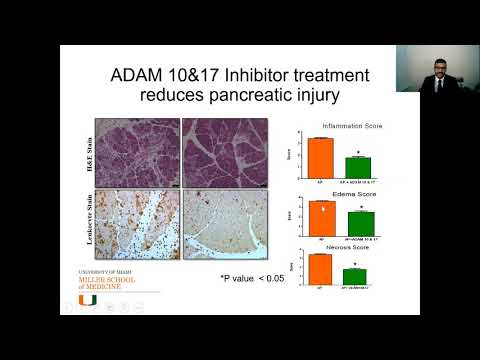 ADAM10&17 inhibition protects from experimental acute pancreatitis by reducing influx of neutrophils