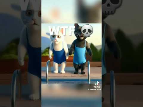 BRO LUMA AI CAT OHIO