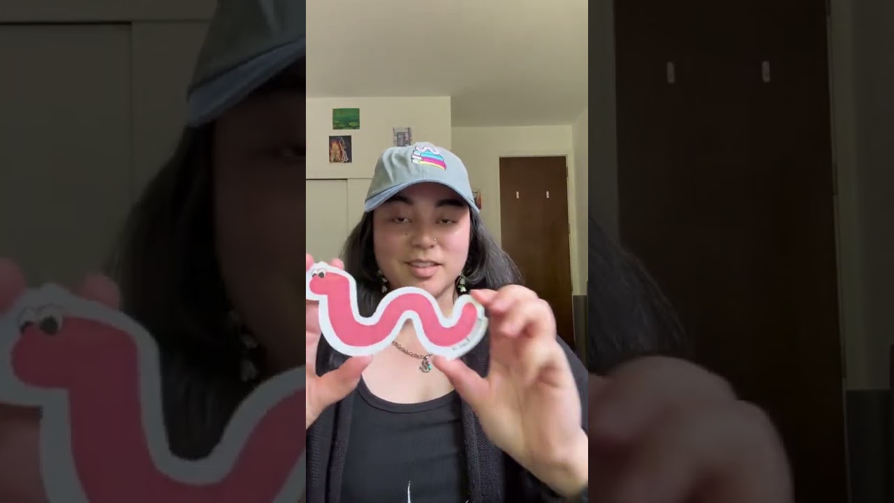 bookworm reads giveaway program 🌟🎁