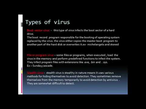 Class 7 Computer Chapter Computer Virus Part 1