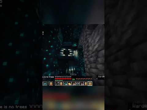 average ping in hawaii ✌️💔 play.voicechatmc.net #shorts #minecraft #memes