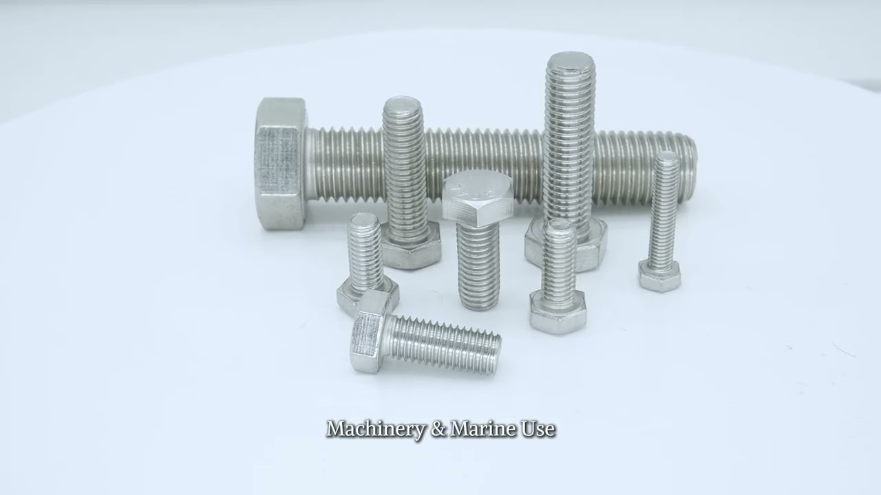 Simple, strong, and always reliable — IIIBEAR stainless steel hex bolts.