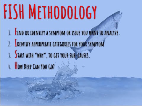 What is a Fishbone Diagram