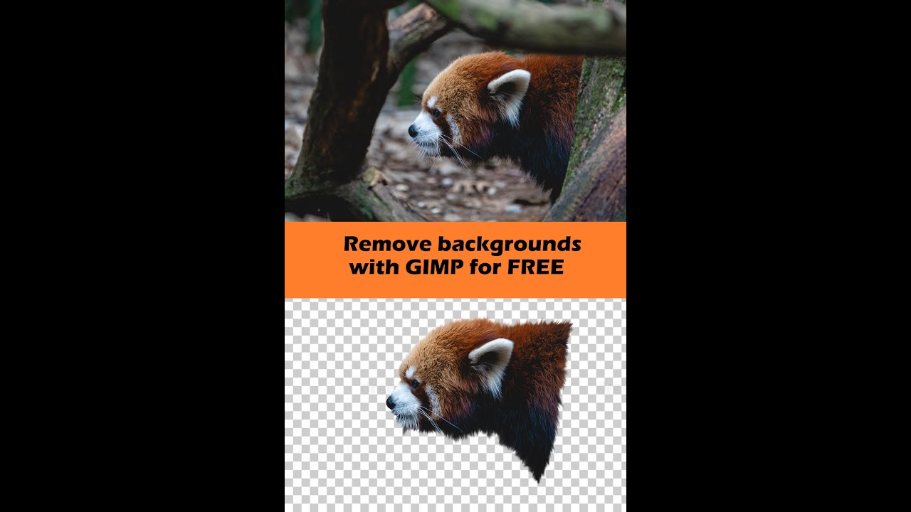 FREE GIMP Tutorial: How To Cut Out Animals with Fur From Background