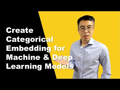 Categorical Embedding for Training Machine & Deep Learning Models