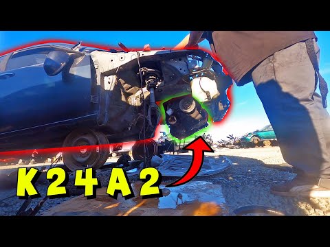 JUNKYARD K24A2 ENGINE - HOW MUCH DOES IT COST?